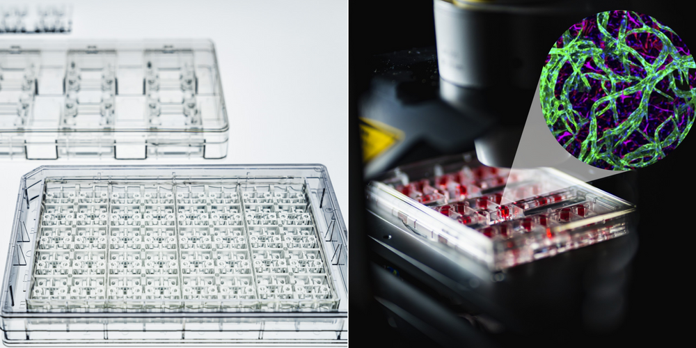 AIM Biotech 使用 OT-2 进行细胞培养自动化 - Opentrons中国官网