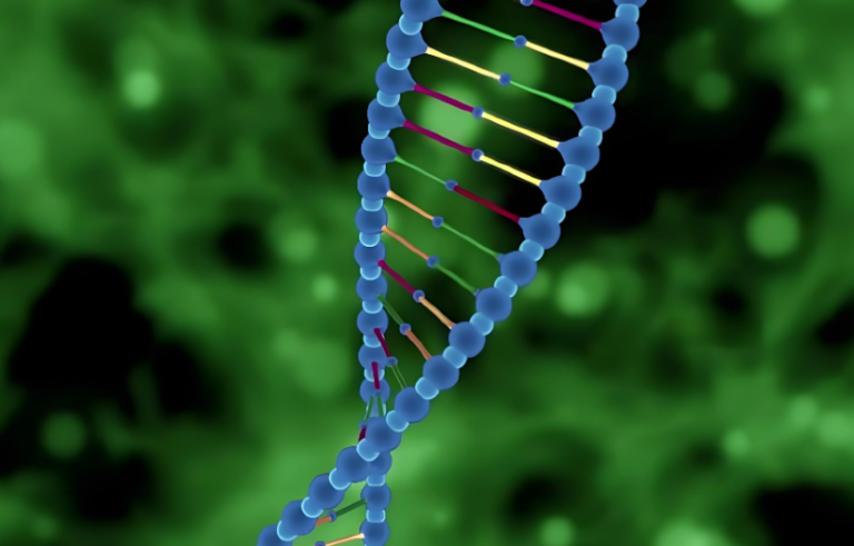 磁珠法提取dna的原理和步骤 - Opentrons中国官网